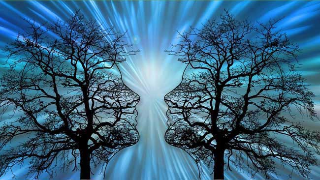 The Ultimate Guide for Enhancing Your Brain Health Naturally