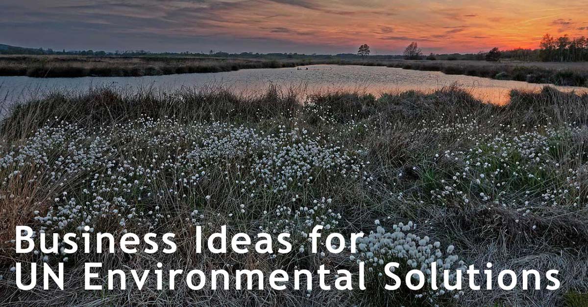 Over 170 Sustainable Business Ideas for UN Environmental Solutions