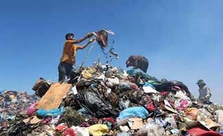 Top 10 Biodiversity and Habitat Issues and Solutions