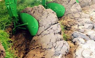 Top 10 Biodiversity and Habitat Issues and Solutions